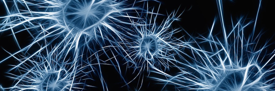 Computational Psychology and Artificial Intelligence | Lady Margaret Hall